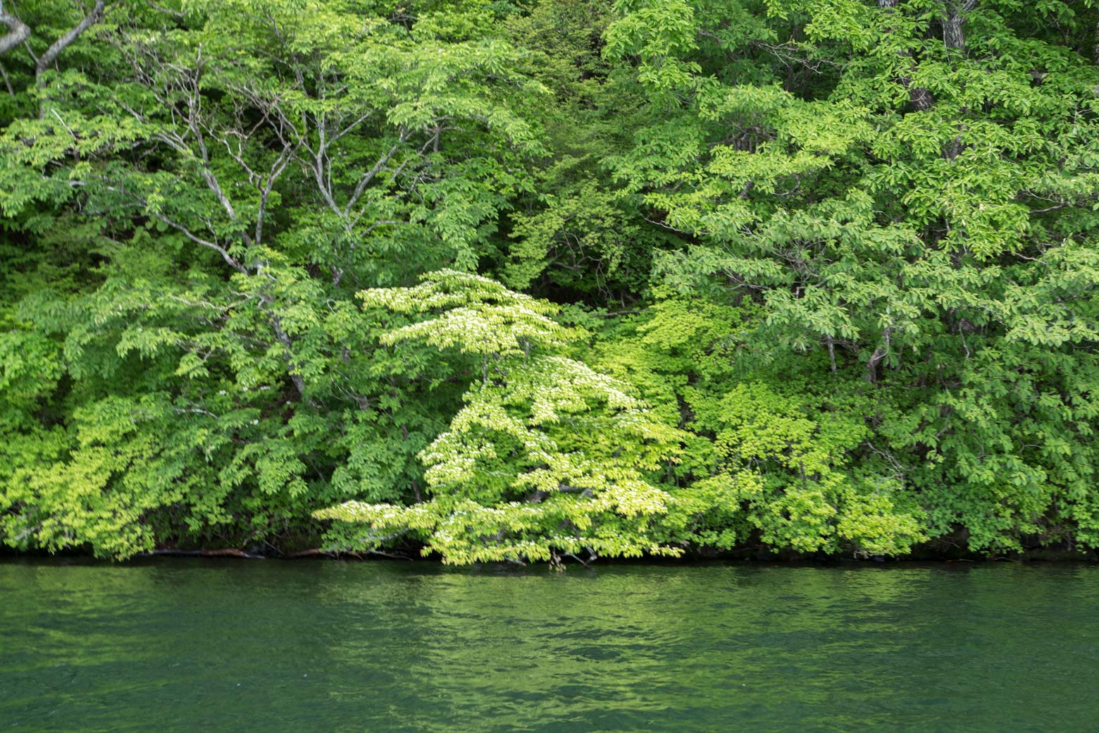 Gunma | Around Tokyo