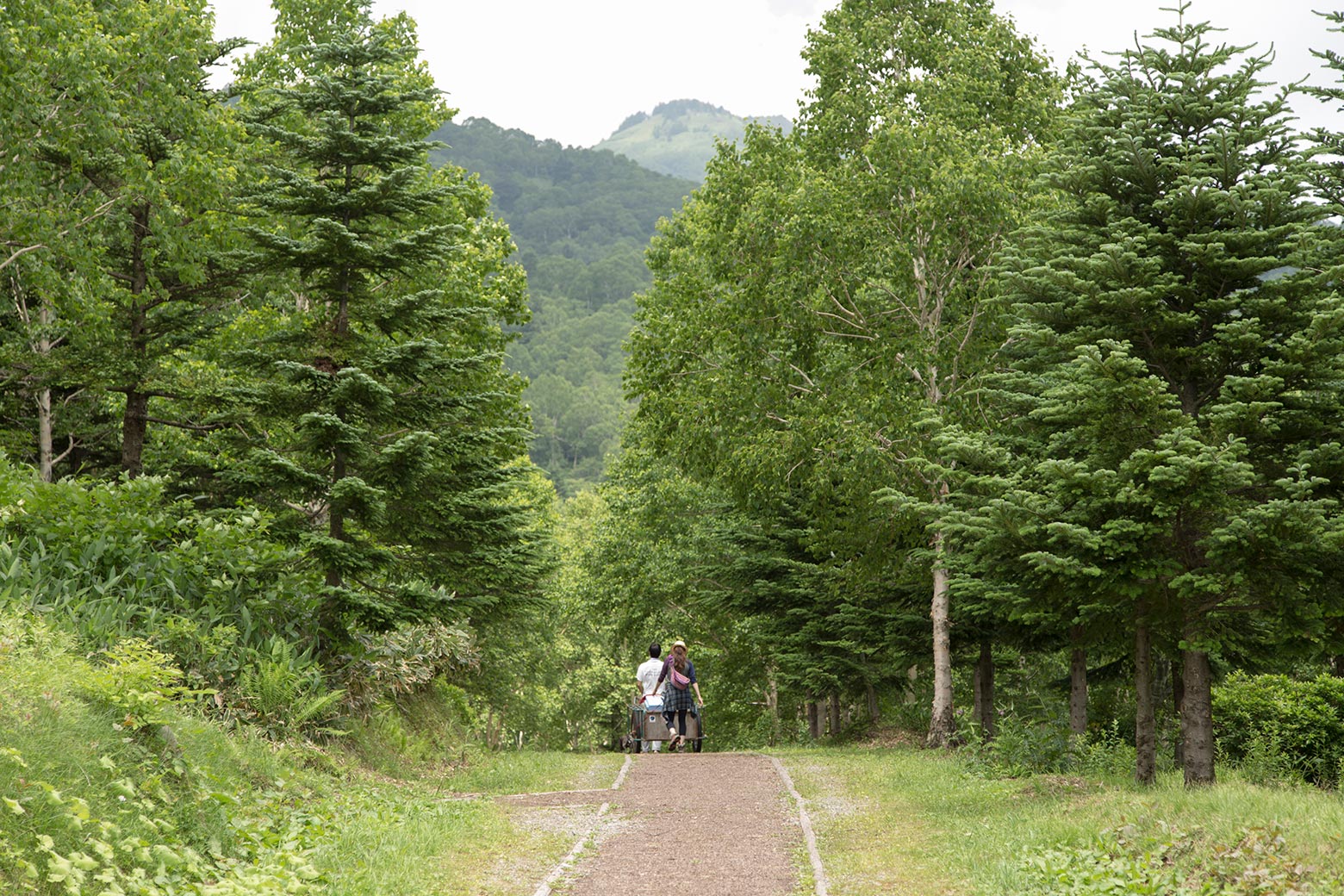 Gunma | Around Tokyo