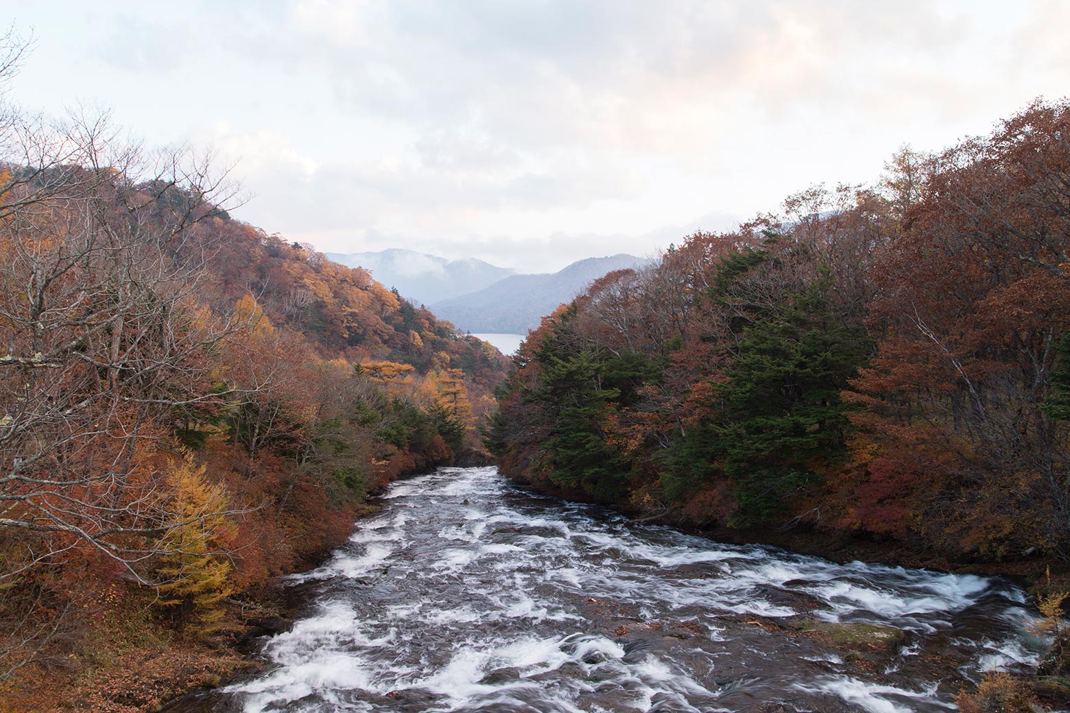 Tochigi | Around Tokyo